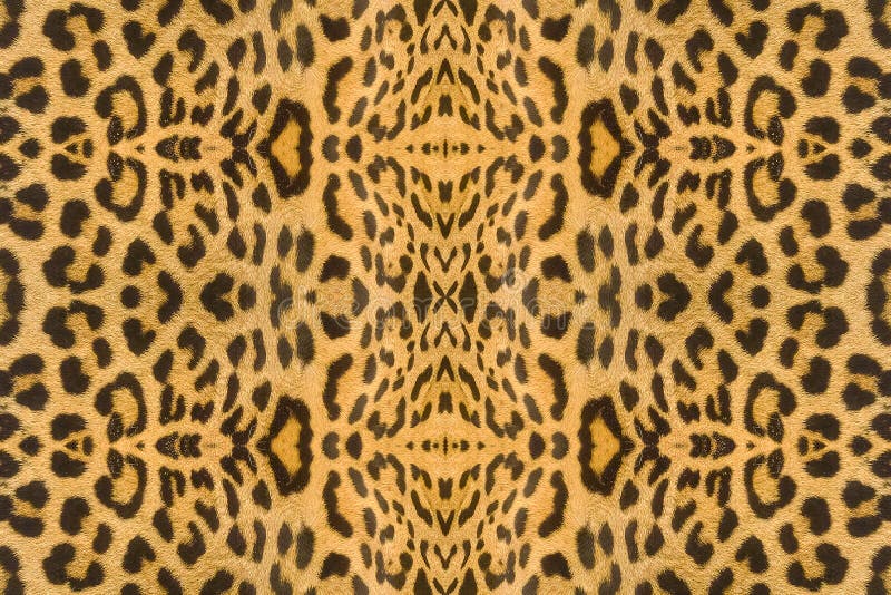 314 Ocelot Skin Pattern Stock Photos - Free & Royalty-Free Stock Photos ...