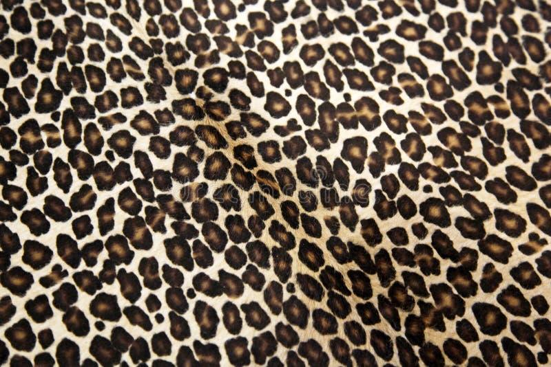 Leopard pattern stock image. Image of safari, style, print - 23101229