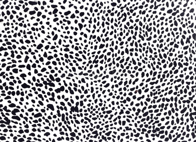 320+ White leopard Free Stock Photos - StockFreeImages