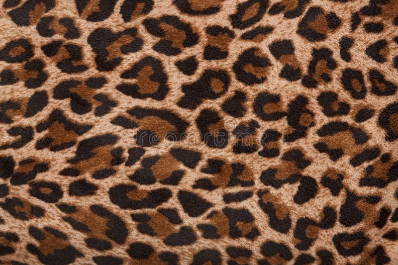 Leopard Pattern Design Animal Print Stock Photo - Image of skin, animal ...