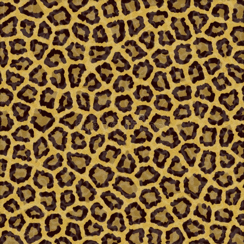 Leopard pattern texture stock illustration. Illustration of exotic ...