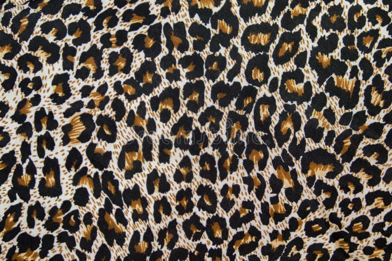 Leopard Pattern Texture. Piece of Clothes. Stock Image - Image of ...