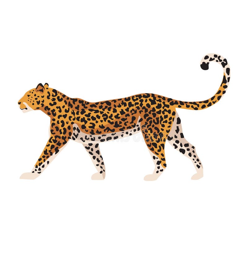Leopard, Predator, African Animal, Wildlife. Vector Illustration ...