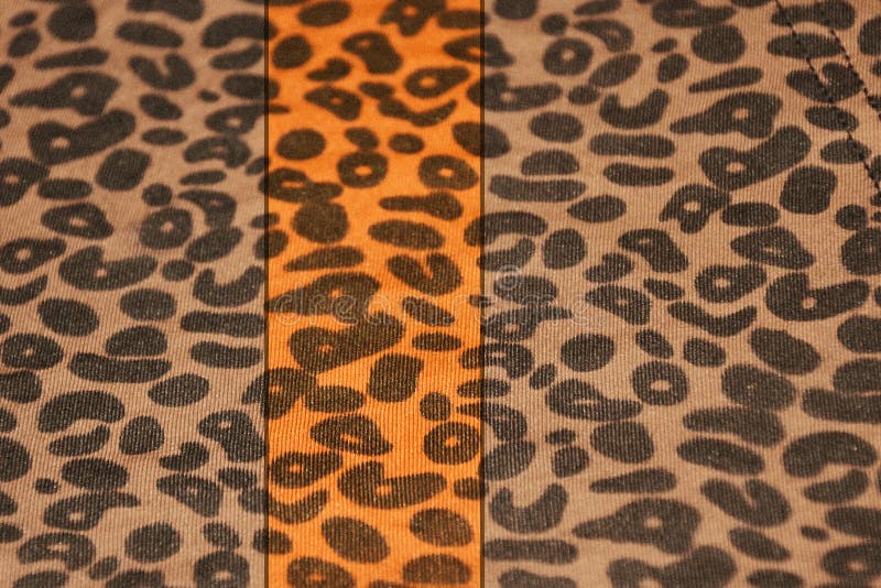 Leopard Print Vintage Banner Stock Image - Image of vintage, texture ...