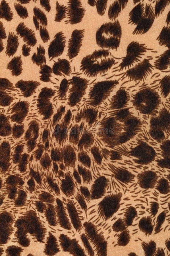 Leopard skin stock image. Image of safari, decorative - 21198879