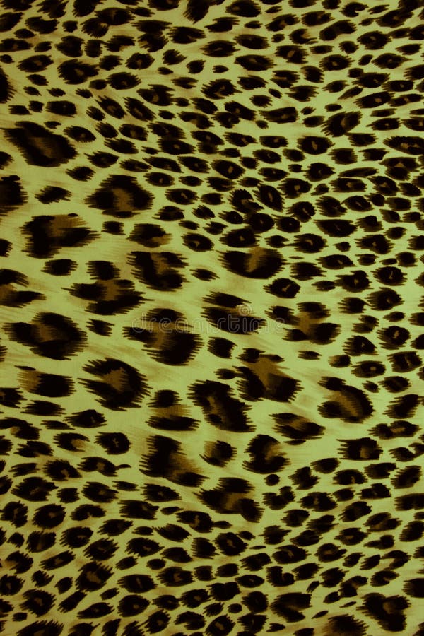 Leopard Skin Pattern Texture Stock Photo - Image of fabric, africa ...
