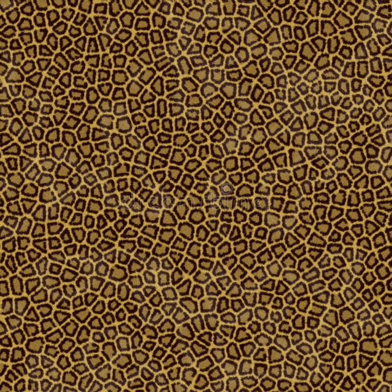 Leopard skin texture stock illustration. Illustration of safari - 12838771
