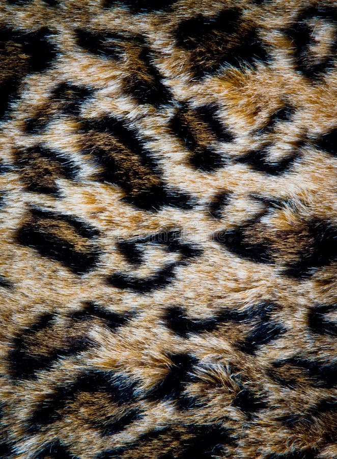 Leopard skin paper texture stock photo. Image of africa - 29597936