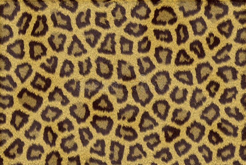 Leopard Skin Texture Stock Illustrations – 42,296 Leopard Skin Texture ...