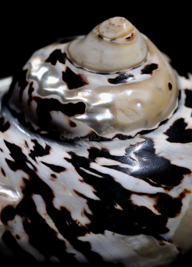 1,921 Slug Texture Stock Photos - Free & Royalty-Free Stock Photos from ...