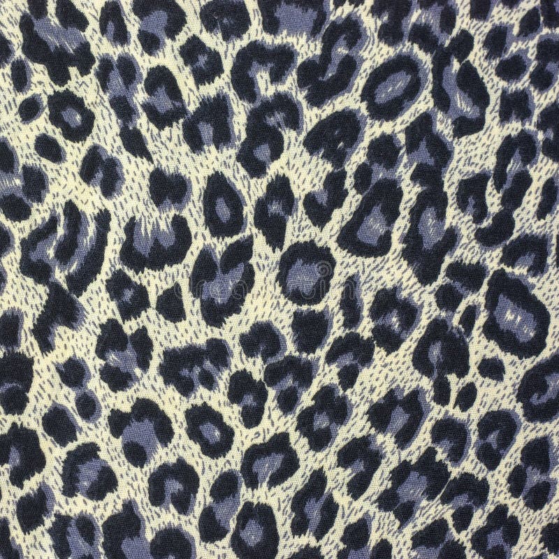 Leopard spots background stock image. Image of wild, cheetah - 30678779