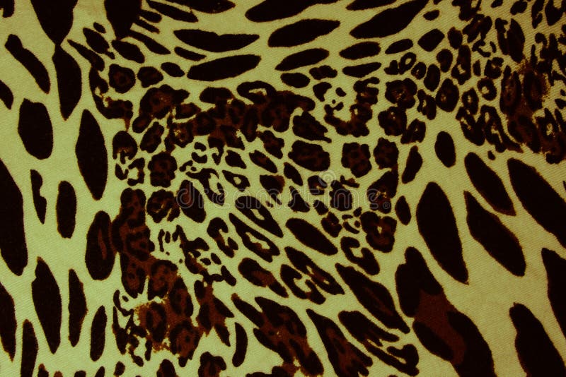 Leopard spots background stock image. Image of wildlife - 30678835