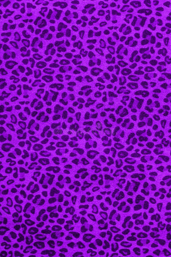 Leopard-spotted Crab stock image. Image of seaweed, ovalipes - 46607299