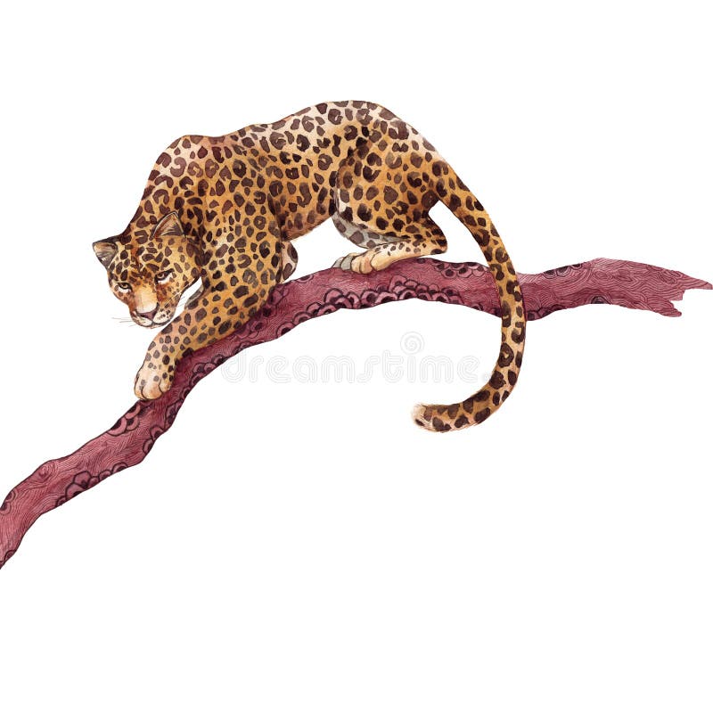 Leopard on Tree Branch Watercolor, Handmade Clip Art Illustration Stock ...