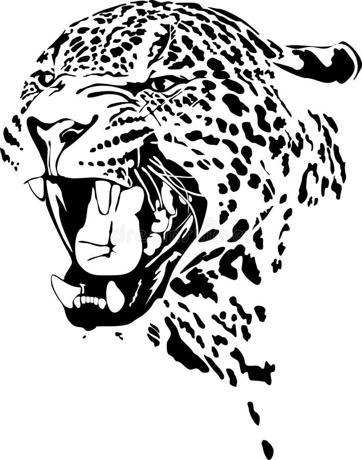Leopard Roar Drawing