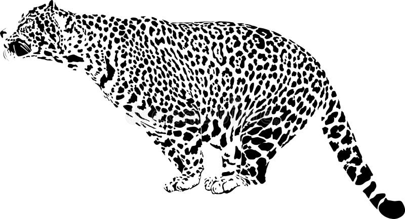 Leopard in a Jump. Vector Illustration. Stock Vector - Illustration of ...