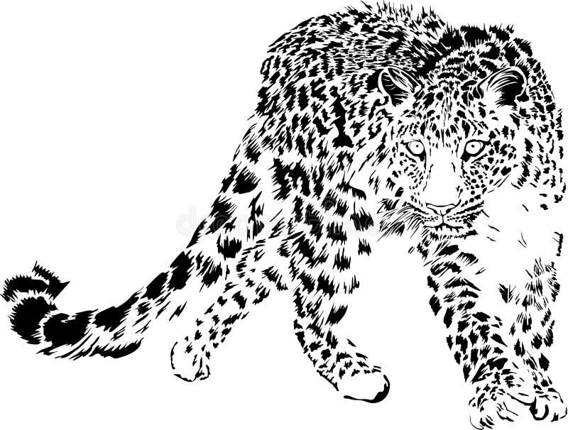 Originele Tekening Van Luipaard Met Spiegelzonnebril Stock Illustratie ...