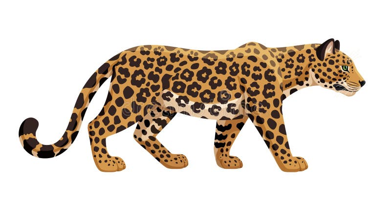 Leopard Walking Vector Illustration. African Leopard Side View Isolated ...