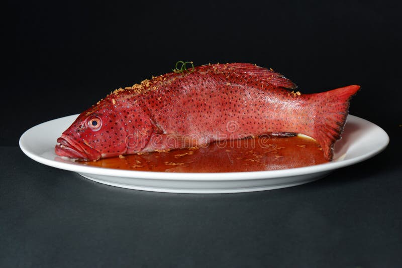 Leopardus De Plectropomus En Plato Imagen de archivo - Imagen de venta ...