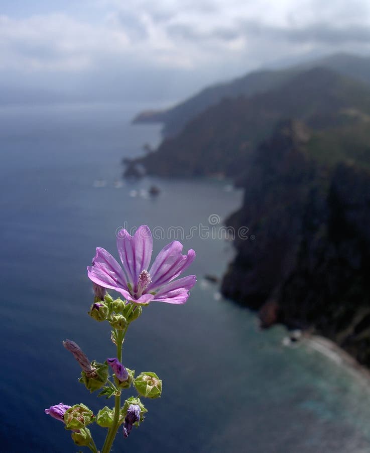 Les calanques stock photo. Image of deep, corsica, sight - 6053300
