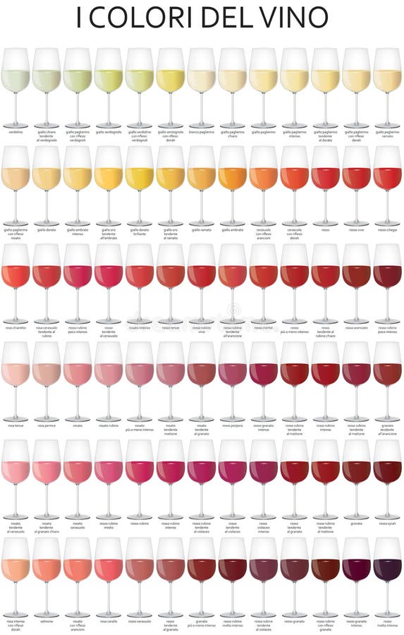 Les couleurs du vin illustration stock. Illustration du imagination ...