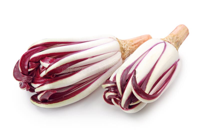 Radicchio Variegato Di Castelfranco Photo stock - Image du lame, salade ...