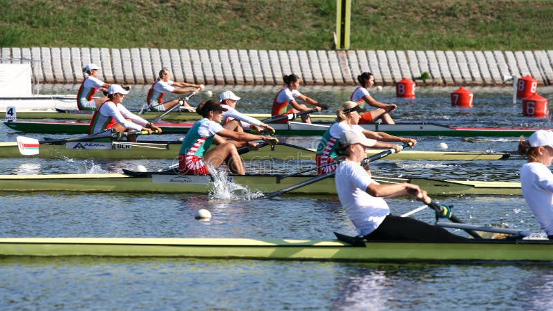 Les finales dans l'aviron photo éditorial. Image du palette - 18395616