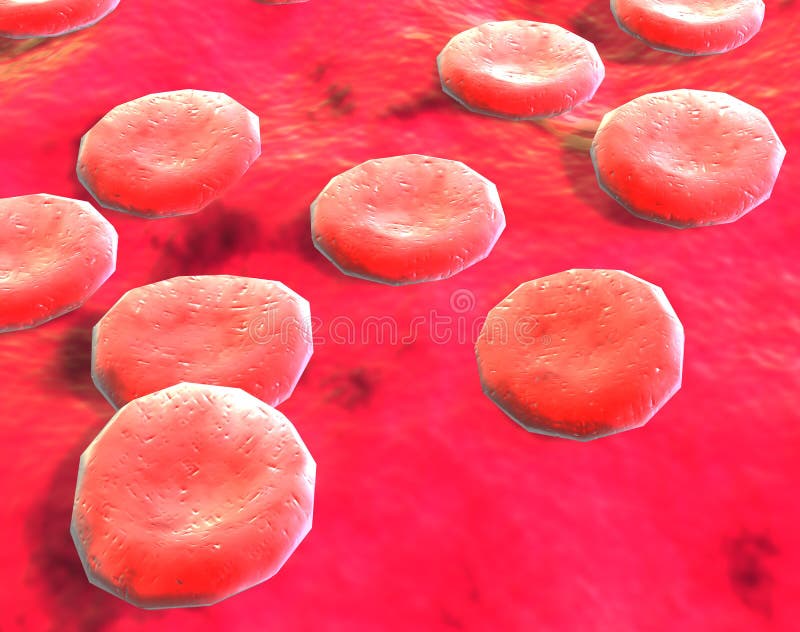 Les globules rouges nagent illustration stock. Illustration du ...