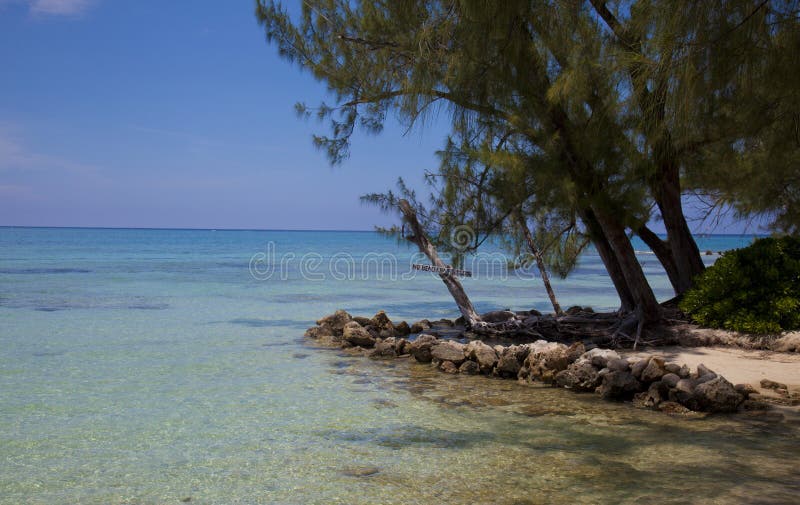 Les Iles Cayman - Point De Rhum Photo stock - Image du matin, vacances ...