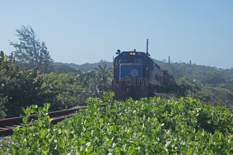 LES MARCHANDISES FORMENT L'APPROCHE Image stock - Image du structure ...