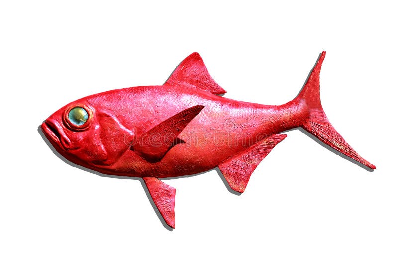 Les Poissons Rouges Ont Isolé Image stock - Image du lustré, brillant ...
