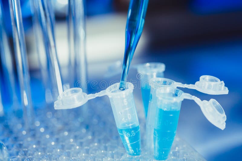 Tubes D'Eppendorf Dans Le Support Rempli De Produit Chimique Photo ...