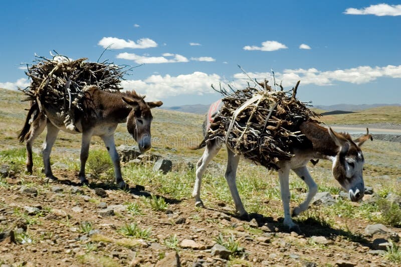 Lesotho Roads Letseng stock image. Image of travel, lesotho - 2014687