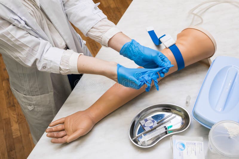 Lesson in the Medical Class Stock Image - Image of female, presentation ...