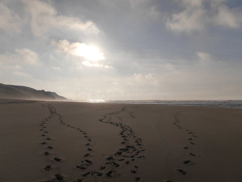 Footsteps stock image. Image of away, wind, wave, dawn - 342824201
