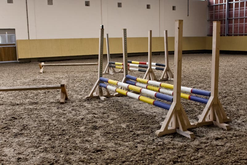 Let`s be winners stock photo. Image of horse, training - 80598068