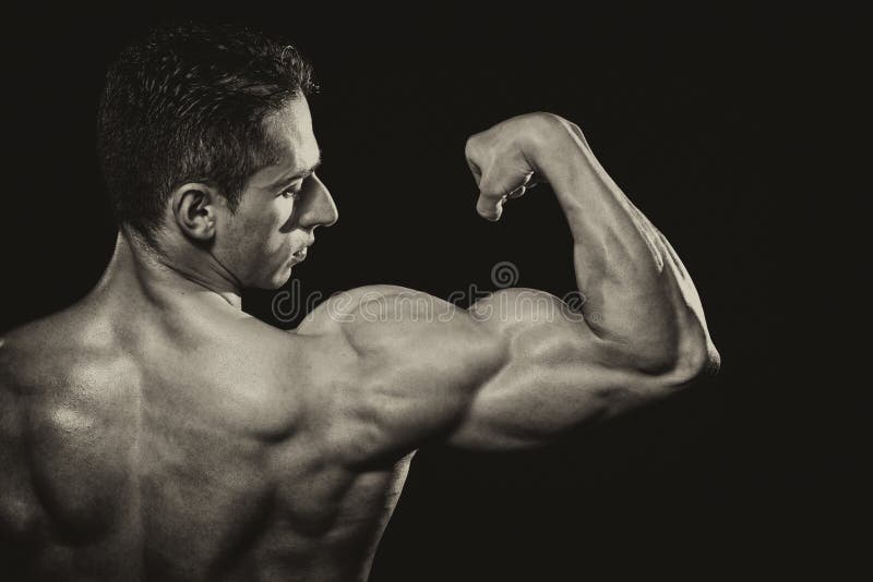Male bodybuilder hands stock photo. Image of builder - 29129448