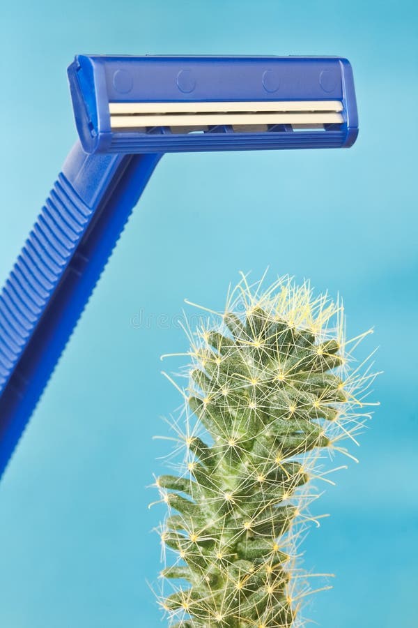 Let s have a shave? stock photo. Image of hair, plastic - 15307566