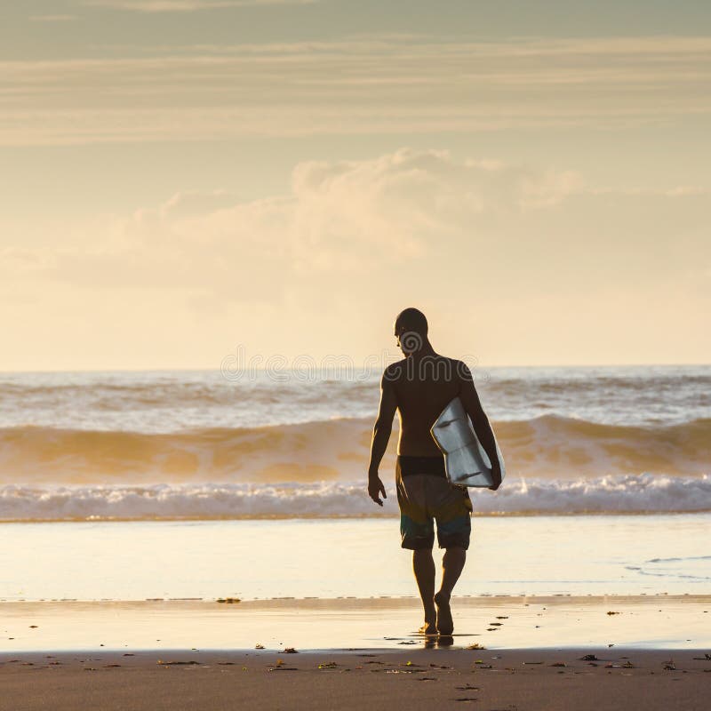 Let`s Surf stock photo. Image of sunset, ocean, sport - 159145422