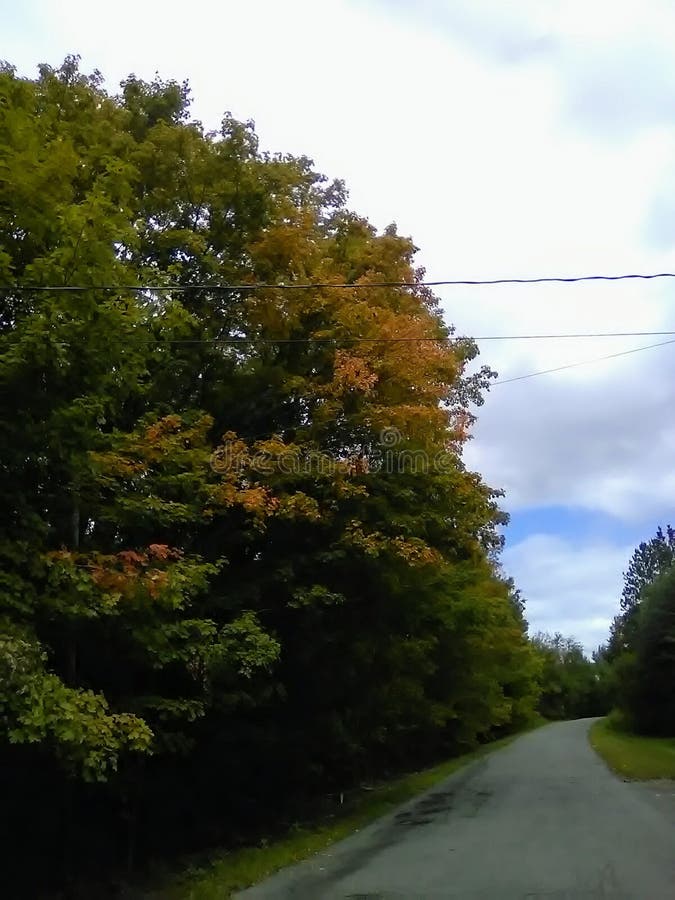 Stroll down memory lane stock photo. Image of white, davenport - 92606178