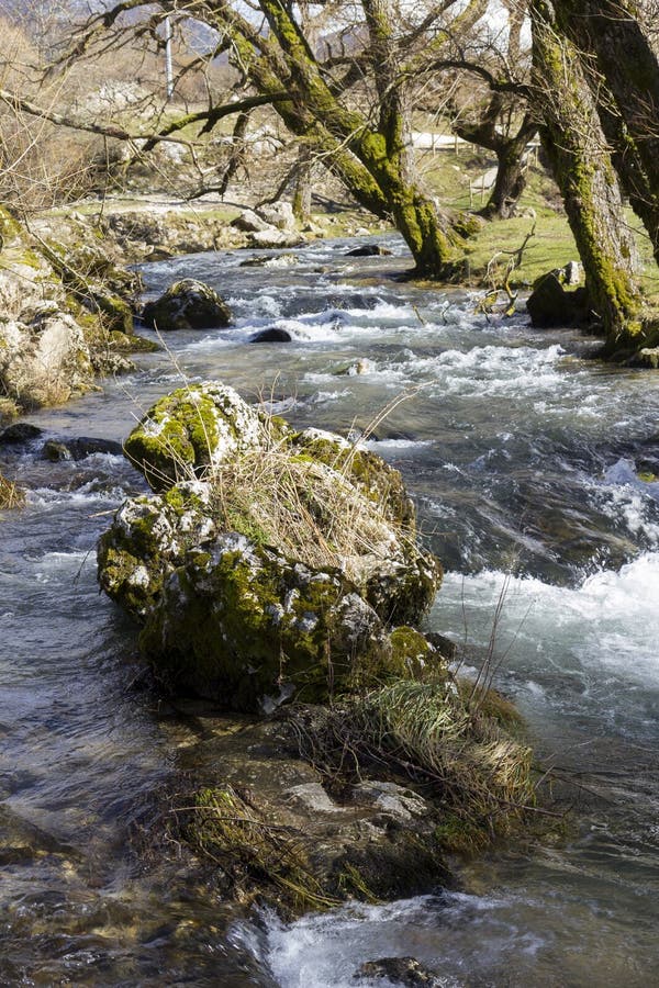 Lete river stock image. Image of bright, forest, scene - 91663383