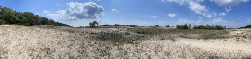 Sand Dunes Panorama in Letea Forest, Romania Stock Image - Image of ...