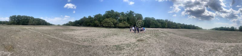 Sand Dunes Panorama in Letea Forest, Romania Editorial Stock Photo ...