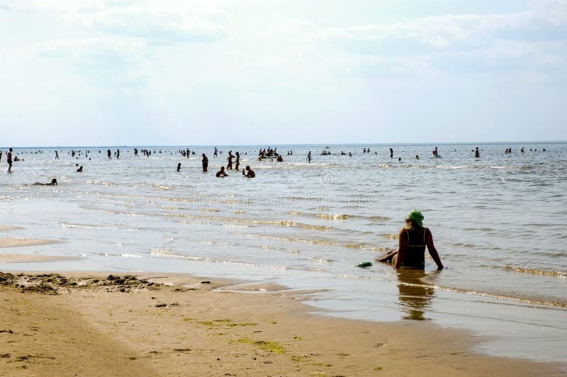 Letland Strand En Pijnboom Op De Steile Kust Van Oostzee Stock Foto ...