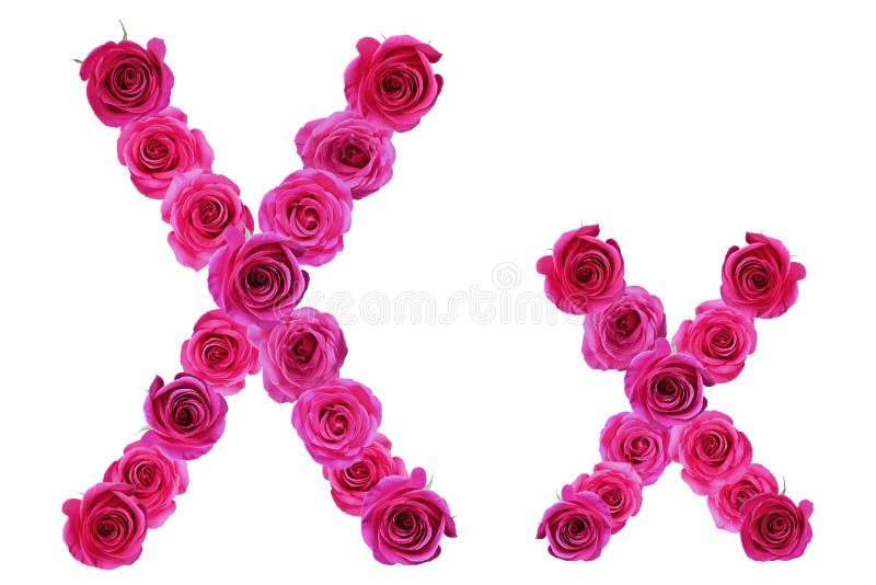Letra e de rosas foto de archivo. Imagen de símbolo, estación - 57726218