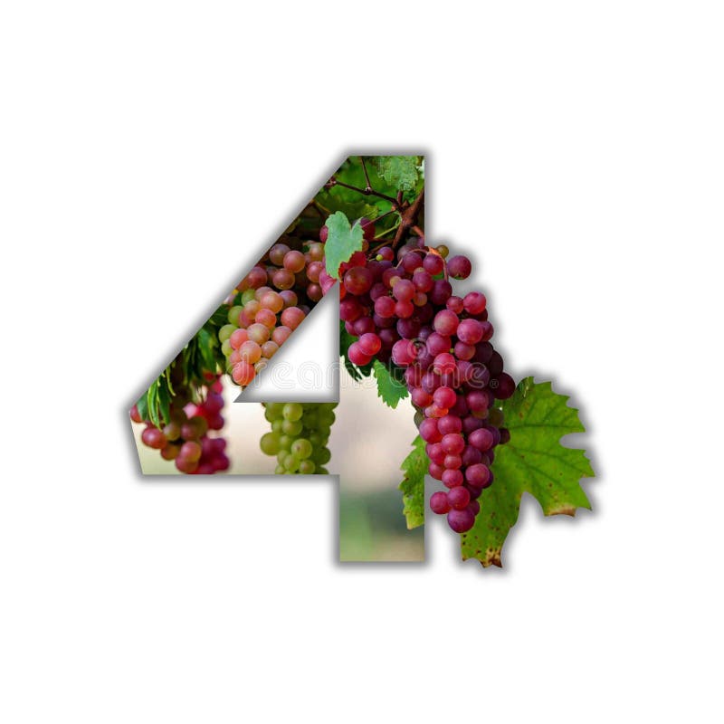 La Letra V Hizo De Uvas Reales Foto de archivo - Imagen de alfabeto ...