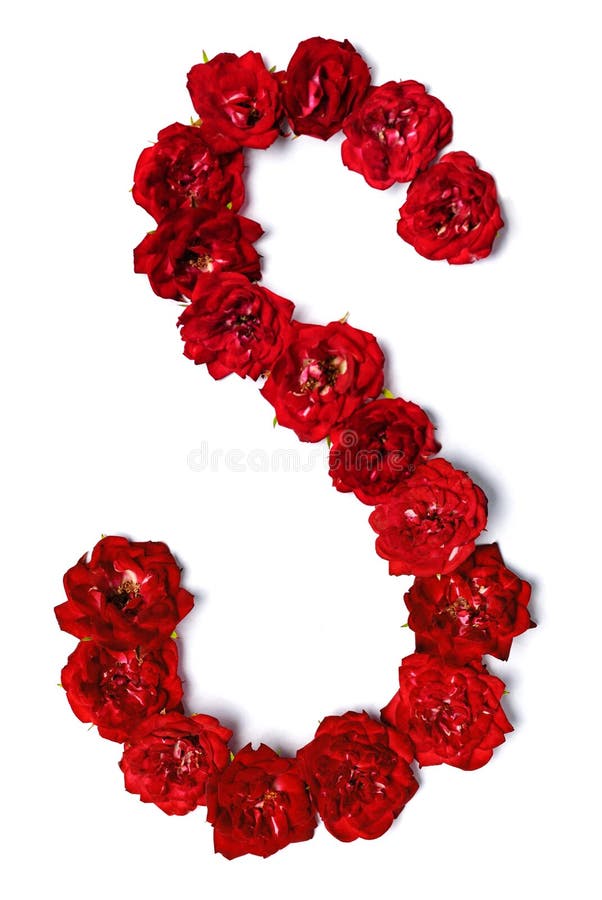 Letra S De Las Flores De La Rosa Del Rojo Foto de archivo - Imagen de ...