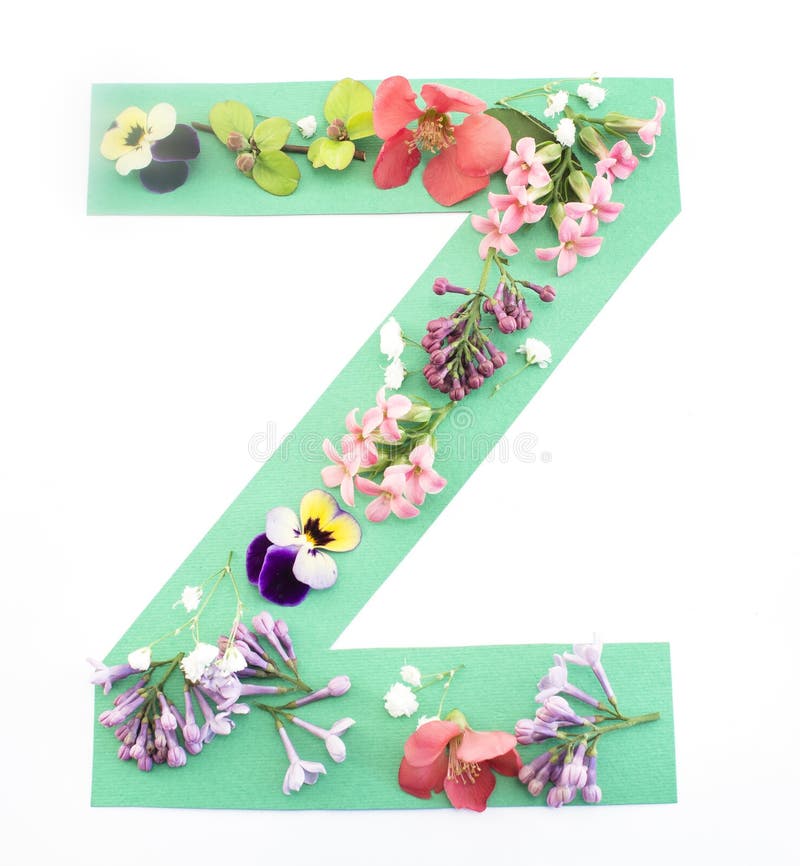 Letra Z Feita De Flores E De Papel Da Mola Foto de Stock - Imagem de ...