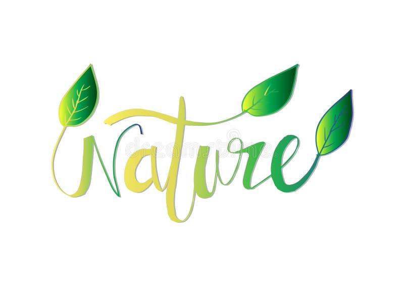 Letras de la naturaleza ilustración del vector. Ilustración de hoja ...