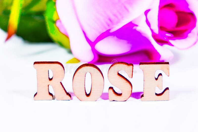 Letras de madera de Rose imagen de archivo. Imagen de placa - 97443099